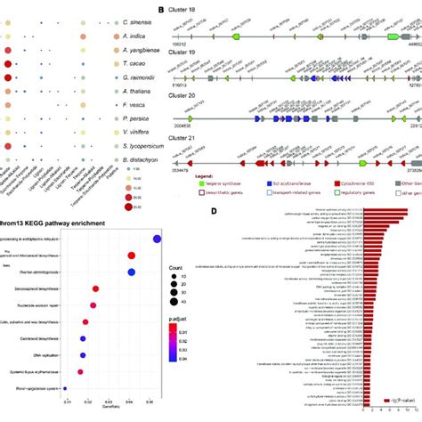 Secondary Metabolite Analysis A Secondary Metabolite Analysis Of