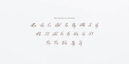 Amerliosa Font Webfont Desktop MyFonts