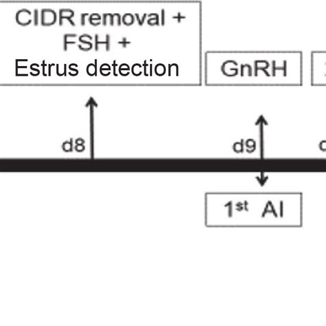 The Superovulation Synchronization Protocol Used Was As Follows An