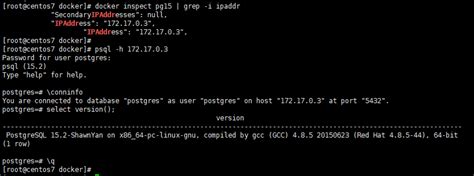 自定义 Dockerfile 构建 Postgresql 15 编译版 Docker 镜像postgresql Dockerfile Csdn博客