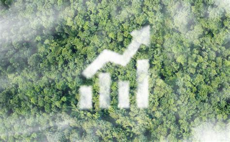 The Transition Plan Taskforce Sets The Bar High With Gold Standard Climate Disclosure Framework