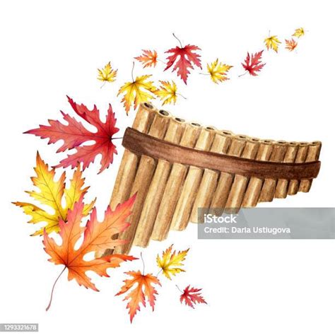 나무 팬 플루트 또는 팬파이프와 다채로운 단풍 가을 음악 개념 흰색 배경에 고립 된 손으로 그린 수채화 그림 10월에 대한 스톡 벡터 아트 및 기타 이미지 Istock