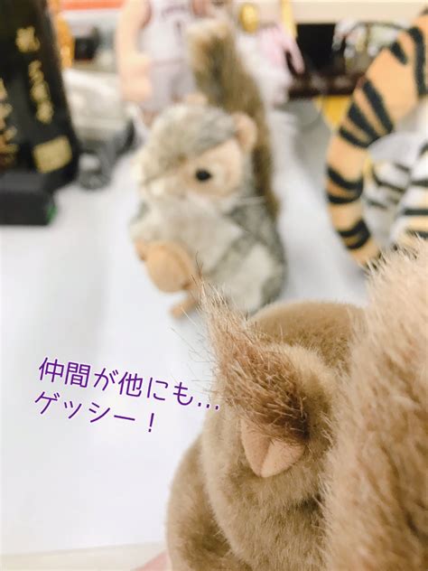 Tvkサクサク公式 On Twitter Tvkにはげっ歯類が けっこういる🐿 リスが働く会社 復活まで D7 💎