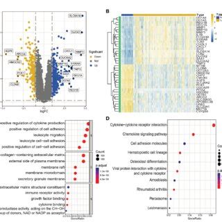 Identification Of Degs And Functional Annotation A B Volcano Plot