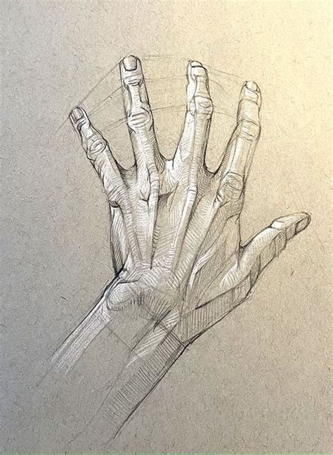 With A Pencil에 있는 • Kelli •님의 핀 해부학 예술 손 그림 참고자료 인물 드로잉