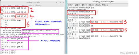 Redis02rdb概述及作用、自动触发、手动触发、优势劣势、触发场景、配置项详解redis手动触发dumprdb保存 Csdn博客
