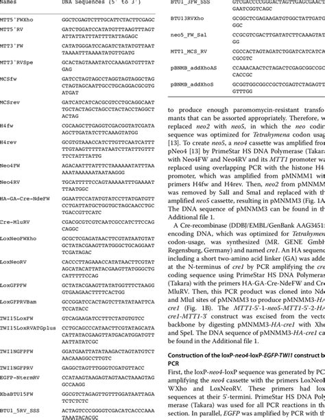 Oligo DNAs Used In This Study Download Table