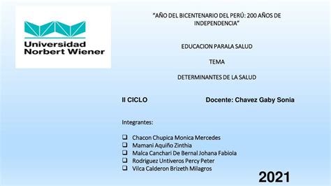 TRABAJO DETERMINANTES DE LA SALUD Percy Rodriguez UDocz