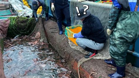 총 무게 16톤 대형 그물속 정체는 미쳤다 진짜 Youtube
