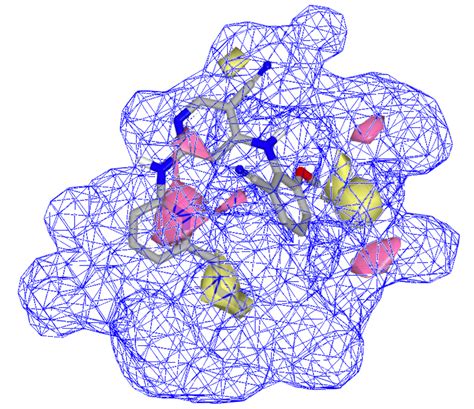 Lead Optimization In Orion® 3d Qsar