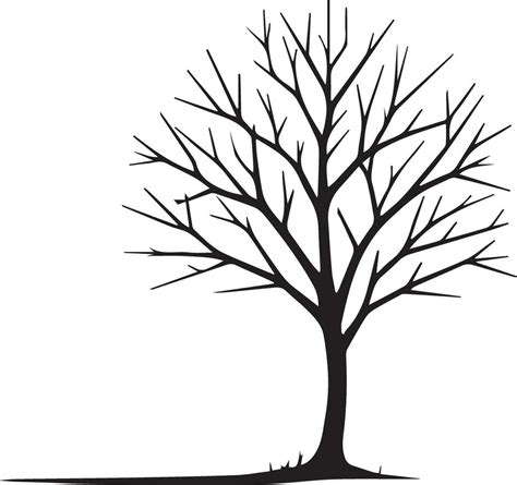 Naked Tree Vector Silhouette Black Color Vector Art At Vecteezy