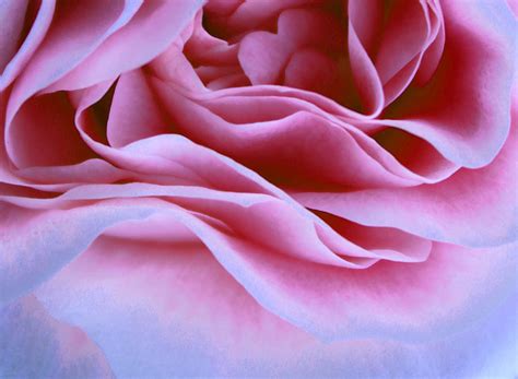 Love And Art Photograph By The Art Of Marilyn Ridoutt Greene Fine Art