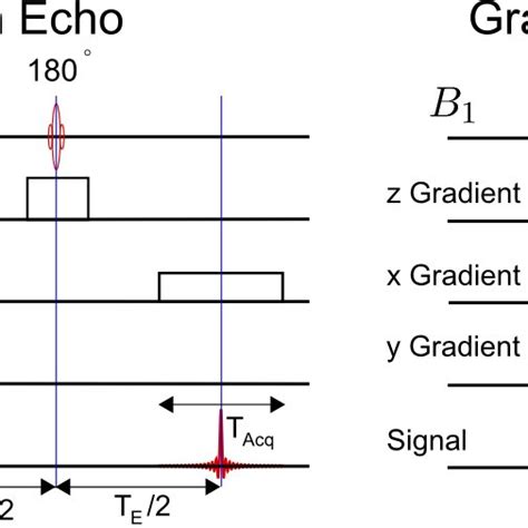 2 A Simple Echo Planar Imaging Sequence Signal Is Acquired With Every