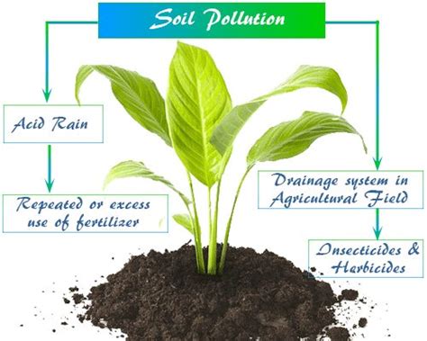 Soil Pollution Soil Contamination Causes Solutions