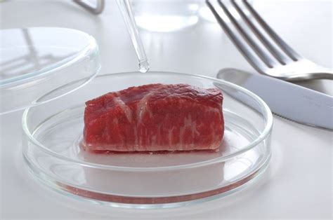 Cara Memasak Daging Yang Aman Siapkan Bahan Ini Agar Keluarga Terhindar Dari Bahaya Nova