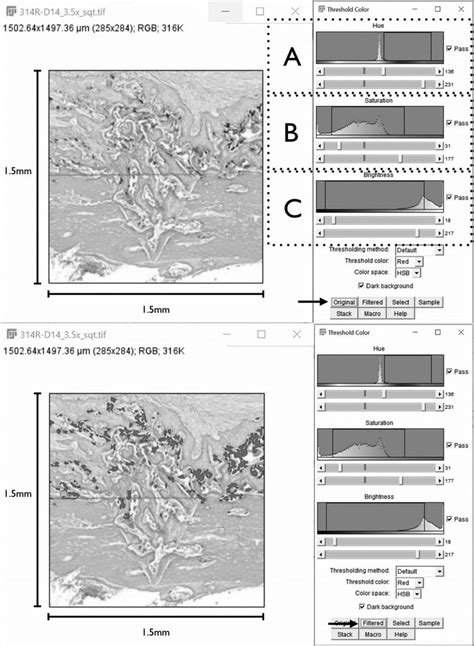 method for threshold color measurements image j software used on the