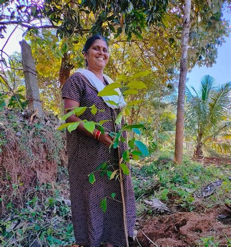 This Rural Woman Planted 100 Trees In Her Backyard And Is Making Her Village Treefully Rich