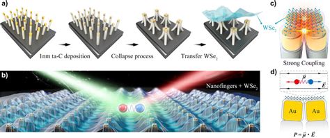 In Plane Excitonplasmon Polaritons In Monolayer Wse2 Driven By