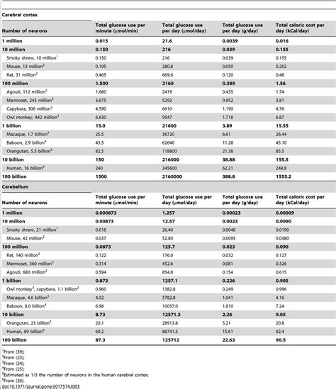 Estimated Cost Of Mammalian Cerebral Cortex And Cerebellum Download Table