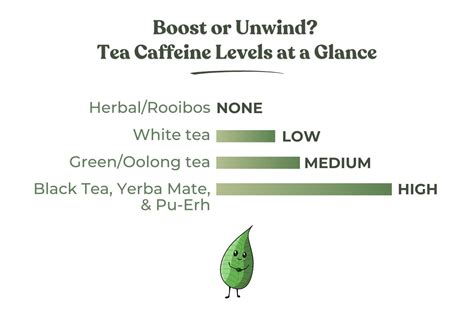 Tea Types Comparison Guide Understanding Different Teas Full Leaf Tea Company