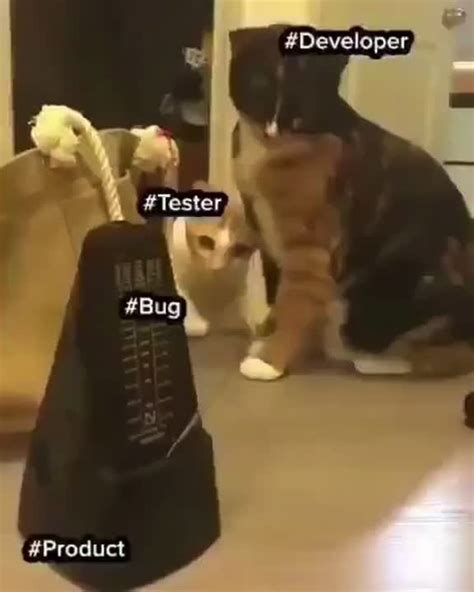 Asif Bhat On Linkedin Developer Tester Bug Product 20 Comments