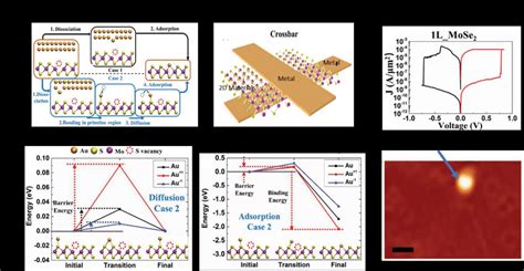 A The Schematic Of The Dissociation Diffusion Absorption Model B Download Scientific Diagram
