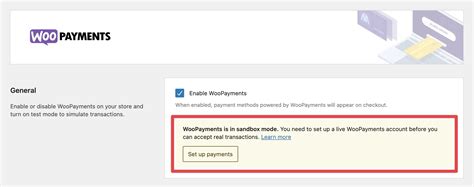 WooPayments Sandbox Mode Documentation WooCommerce