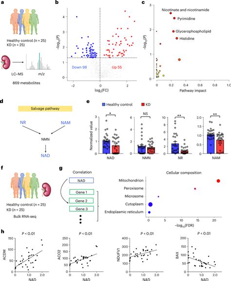 Integrated Metabolomics And Transcriptomics Data Analysis Of Human