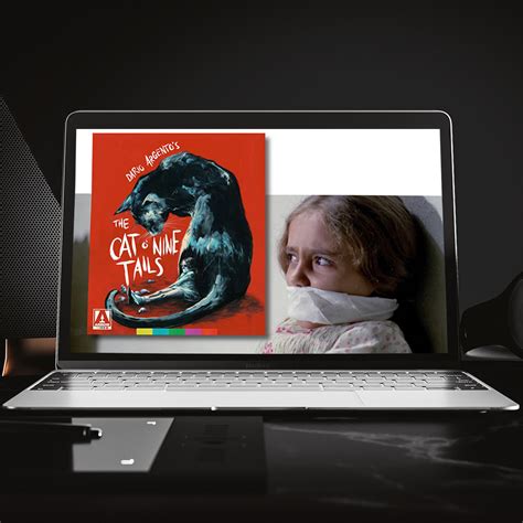 Gary Couto Collecting Physical Media In A Digital World Collectors