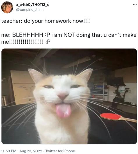 Teacher Do Your Homework Now Me Blehhhhh P I Am Not Doing That