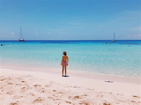 Dove Fare Snorkeling Alla Grande Barriera Corallina Michaelmas Cay