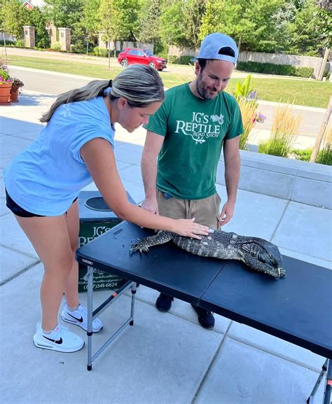 Live Reptile Shows Reptile Party Show In Chicago And Chicagoland