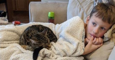 Une Fois La Chatte A Surpris Son Petit Propri Taire En P N Trant Par Effraction Dans L Cole Et