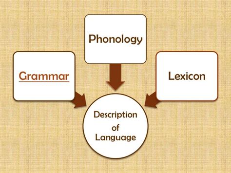 Morphology And Syntax Kelompok