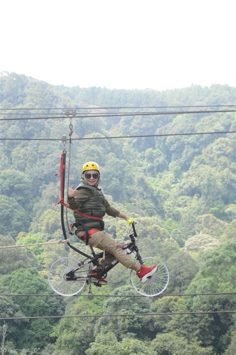 Tiket Hutan Pinus Pal 16 Cikole Lembang Di Bandung Klook Indonesia