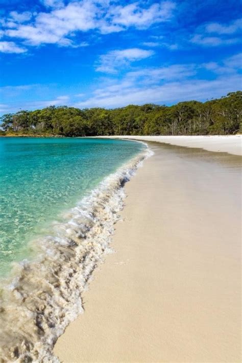 From Sydney Jervis Bay Day Tour And Dolphin Watching Cruise GetYourGuide