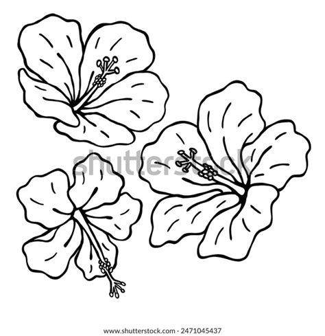 How To Draw Flowers In Hawaii