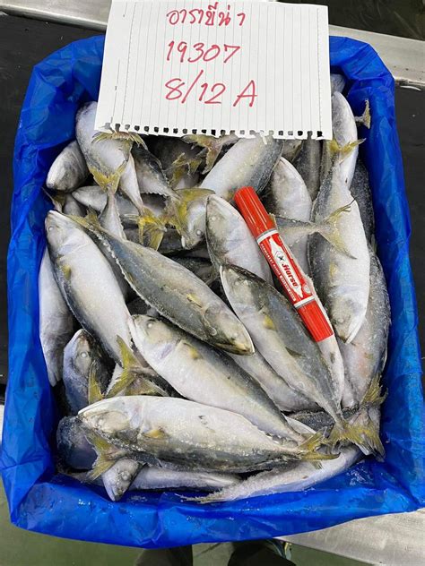 Thakham Mackerel Coltd บริษัท ปลาทูท่าข้าม จำกัด Bangkok
