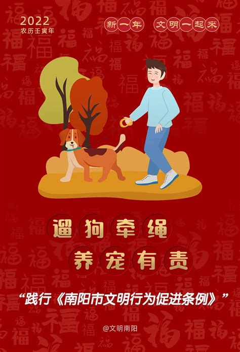 南阳文明爱宠 共建共享美好生活 大河号 大河网