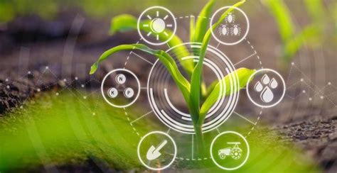 Exploring The Future Of Digital Agriculture The Seam