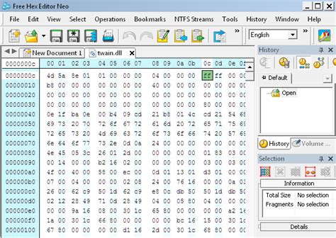 How Do You Edit A Dll File Walkpoh