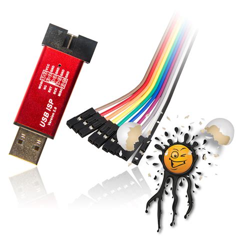 USB ISP AVR In System Programmer Inkl Dupont Kabel IoT Powered By
