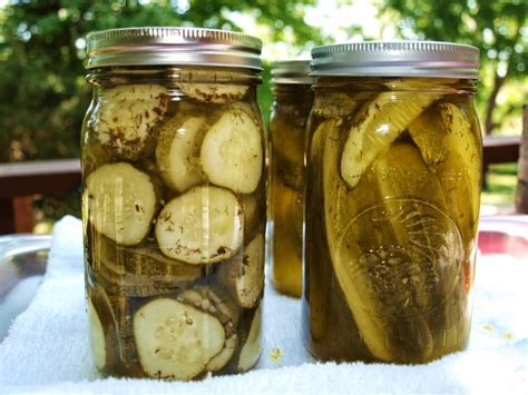 Ohio Thoughts Cucumbers Into Pickles