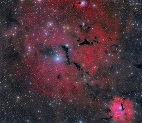 Cosmology S Bugs On Tumblr