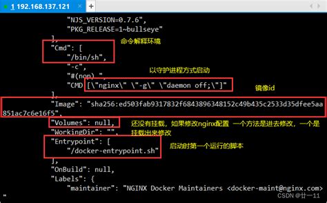 Docker Docker Docker Ps Csdn