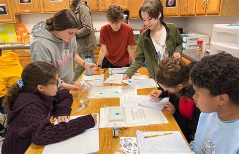 Nccl School In Newark De Niche