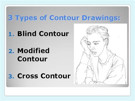 What Are Contour Drawings Contour Lines Describe 3