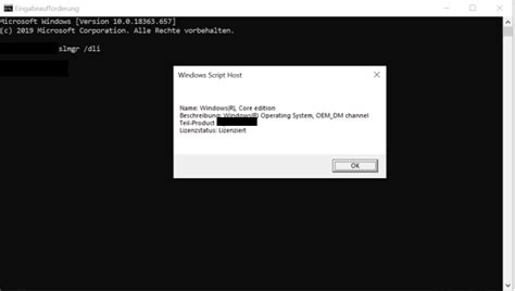 Windows 10 Key Auslesen So Gelingts In Wenigen Schritten IONOS AT