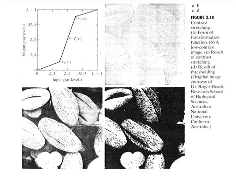 Solved Looking For Assistance On Question Here Is The Chegg