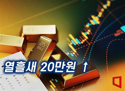 금값 열흘새 20만원 상승안전자산의 판도가 바뀐다 아시아경제